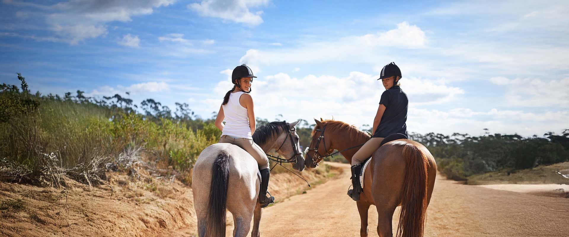 Freedome | Elige tu aventura | Freedome