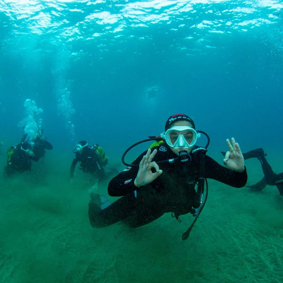 Curso Basic Diver en Lanzarote | Freedome