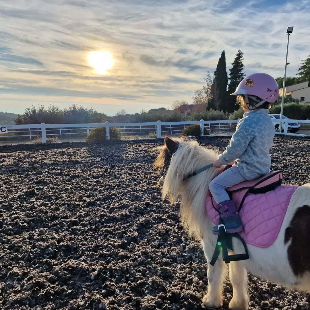 Paseo en poni para niños en el entorno del Montseny | Freedome