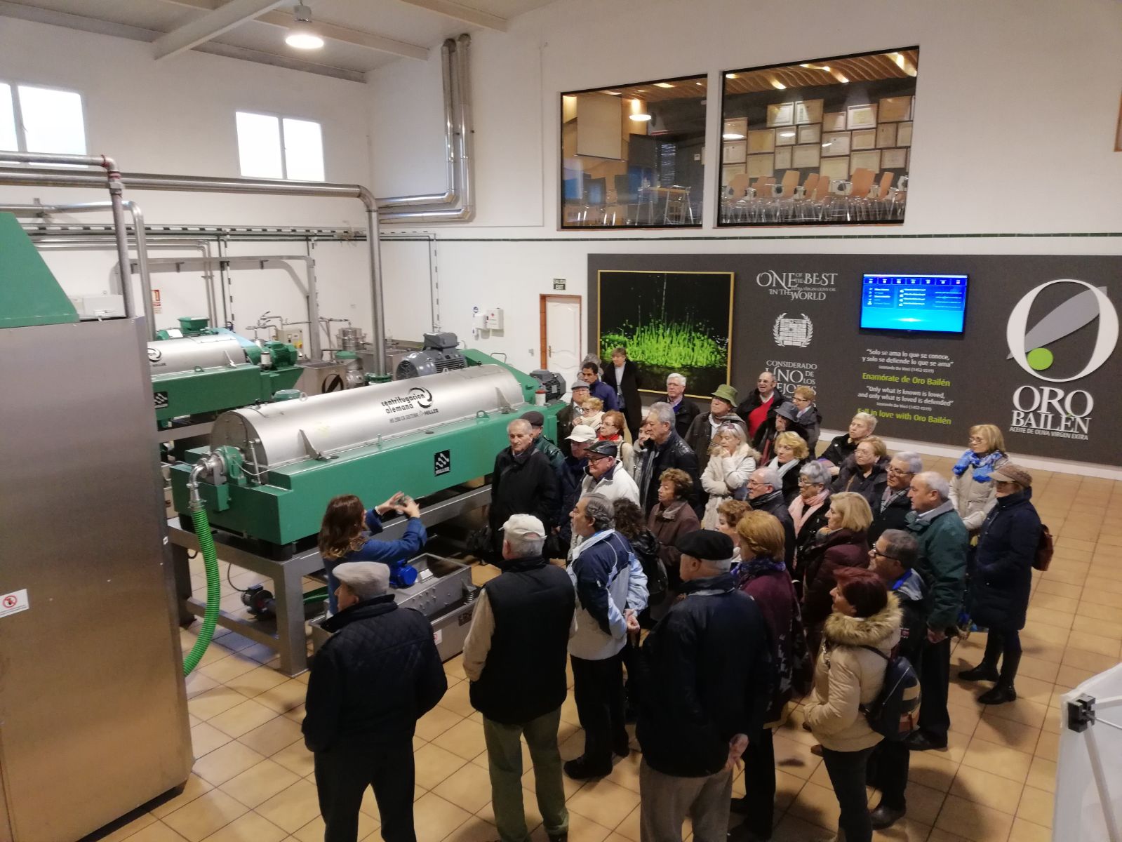 Visit to an olive-oil mill with awarded oils tasting in Jaén | Freedome